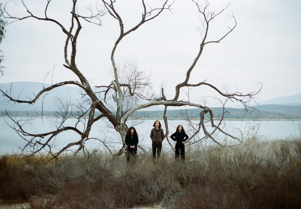 Mint Field Share Two Brand New Singles - Pairs Project